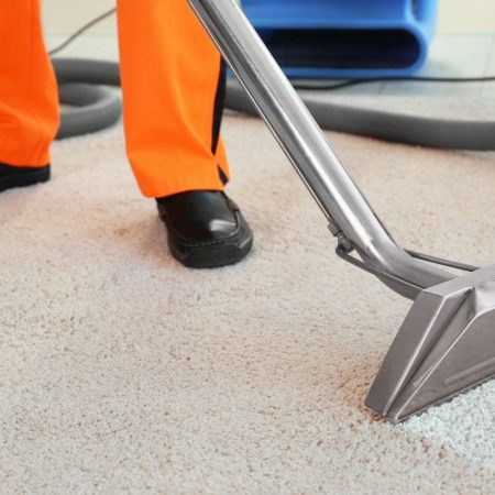 Professional Rug Cleaning Brisbane | Sun Dry Carpet Cleaning